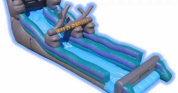Wild Rapids Water Slide For Sale, Buy Cheap Commercial Inflatable Slide